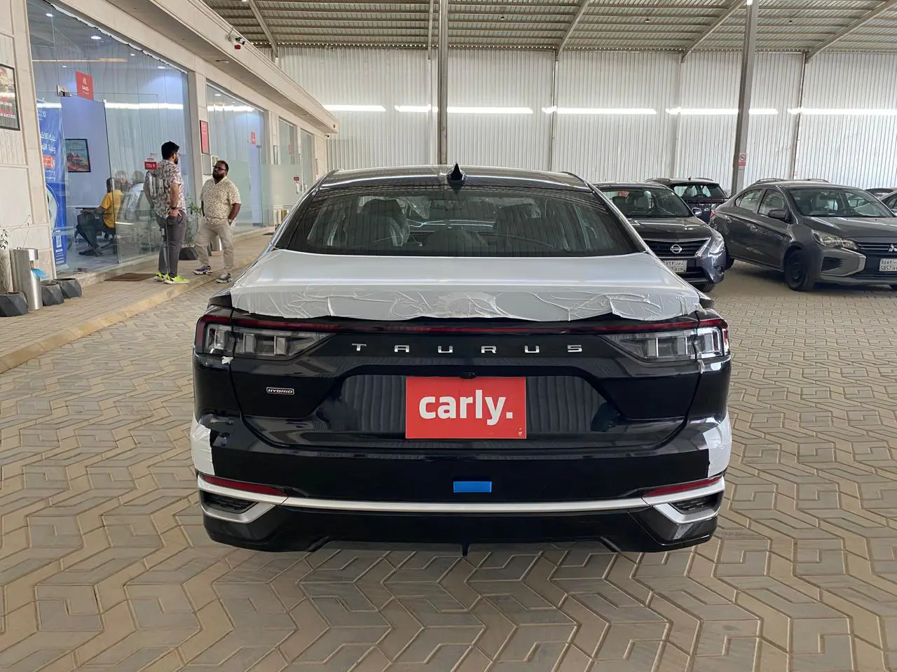 Carly | كارلى